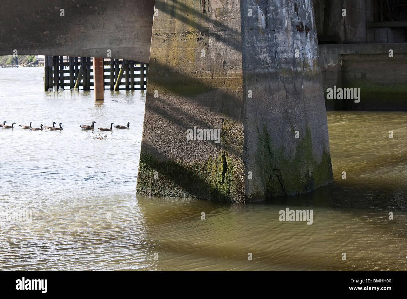 South Park Bridge - South Park Neighborhood - Seattle, Washington Stock ...