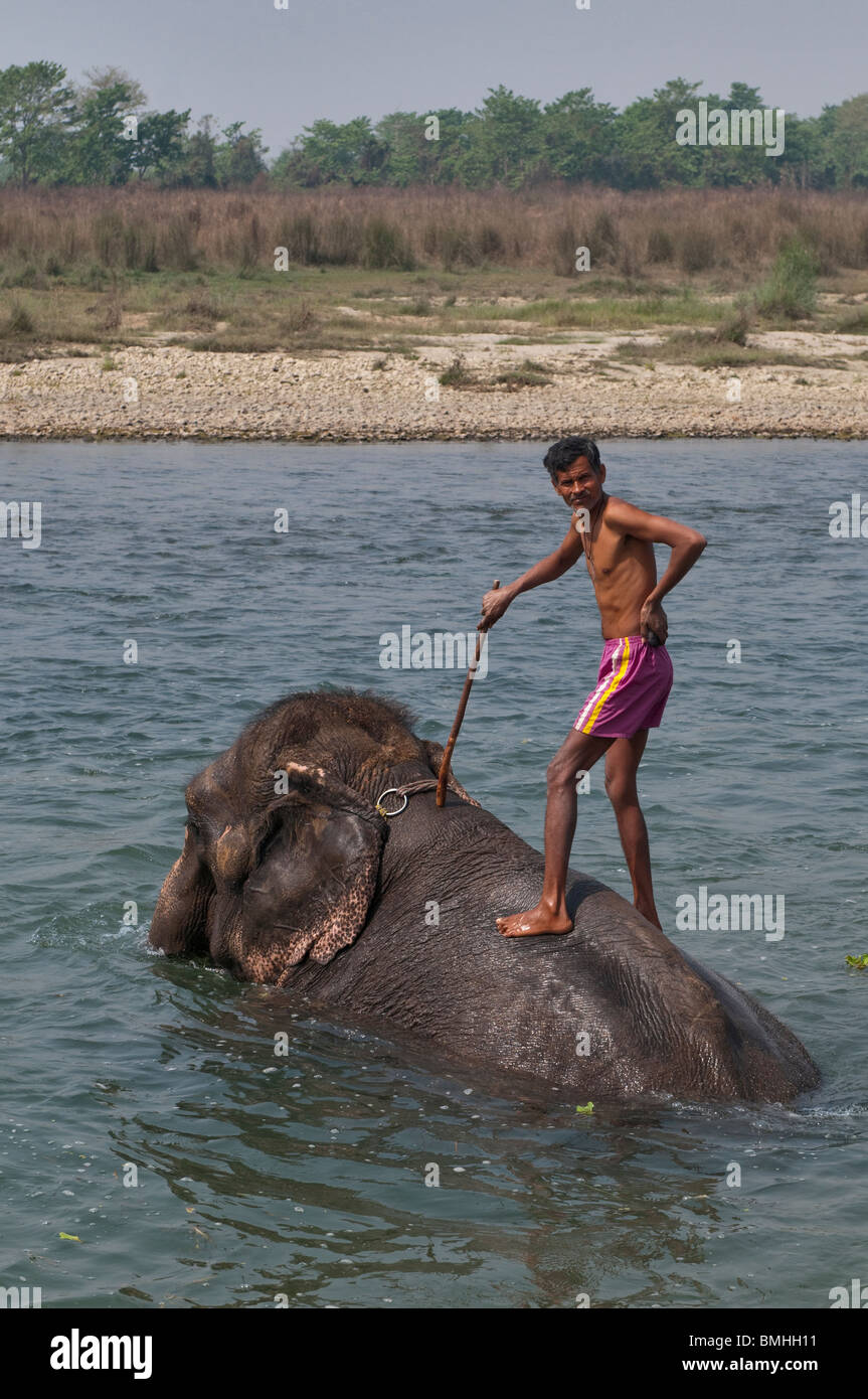 Elephant rider hi-res stock photography and images - Alamy