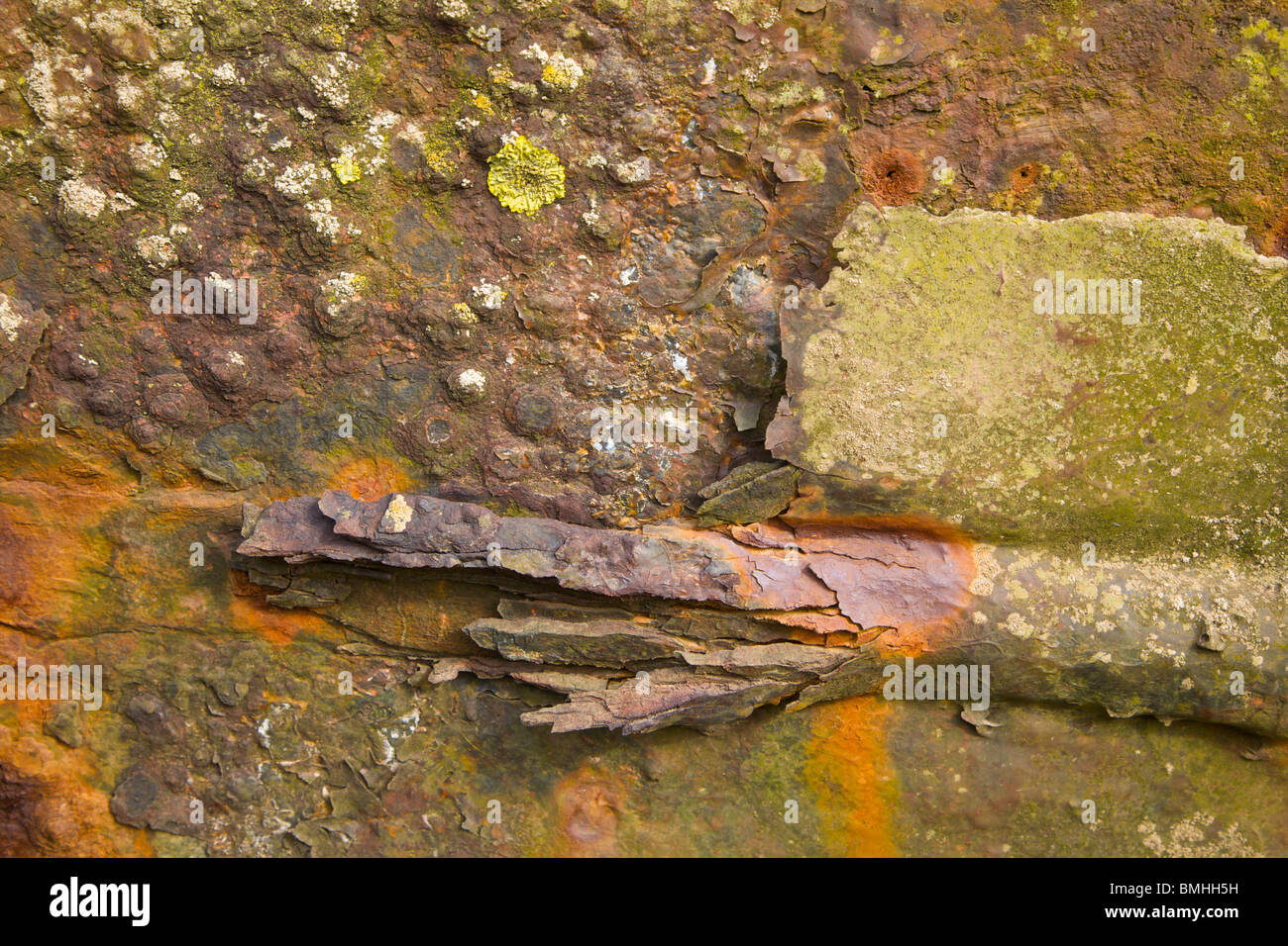 Rusting beauty hi-res stock photography and images - Alamy