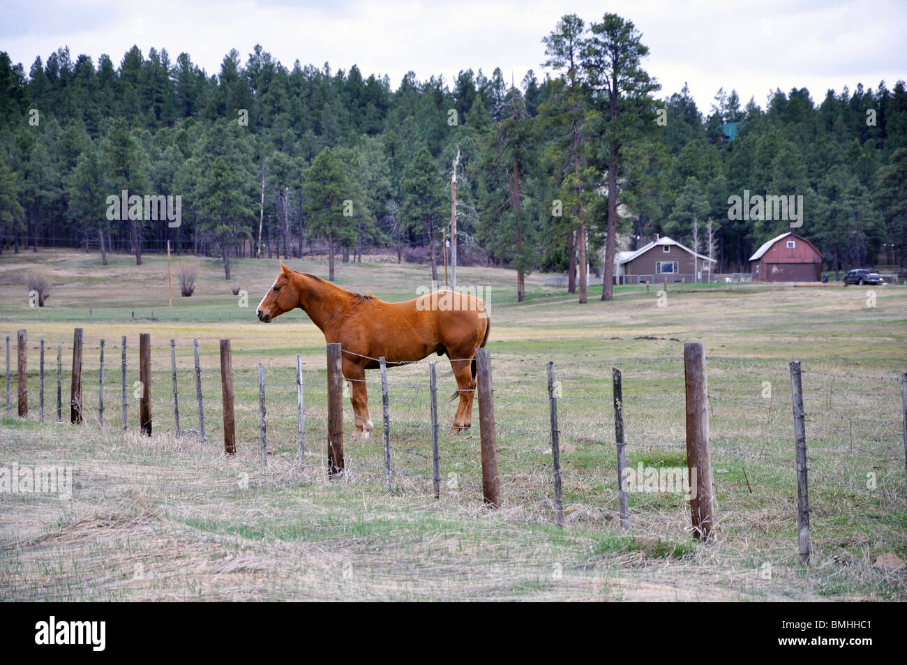 Farm in rural Colorado, USA Stock Photo - Alamy