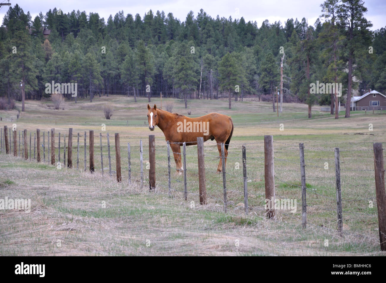 Farm in rural Colorado, USA Stock Photo - Alamy