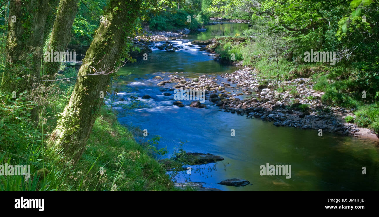 River Dart meandering through Dartmoor national park Stock Photo - Alamy