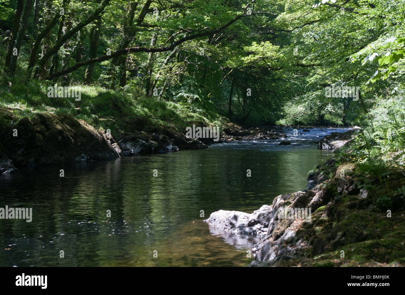 The River Dart in Dartmoor National Park Stock Photo - Alamy