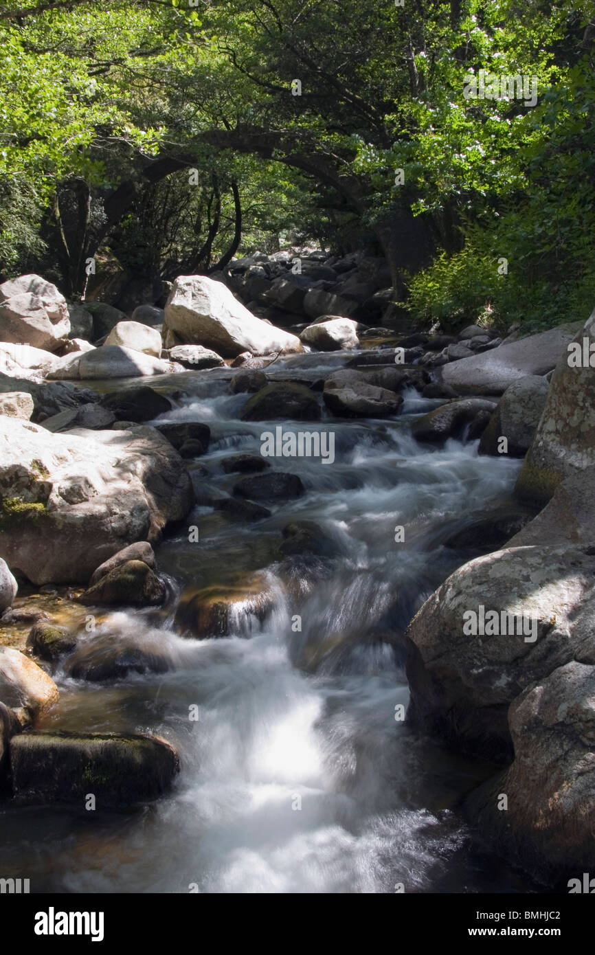 Stream waterfall over rocks hi-res stock photography and images - Alamy