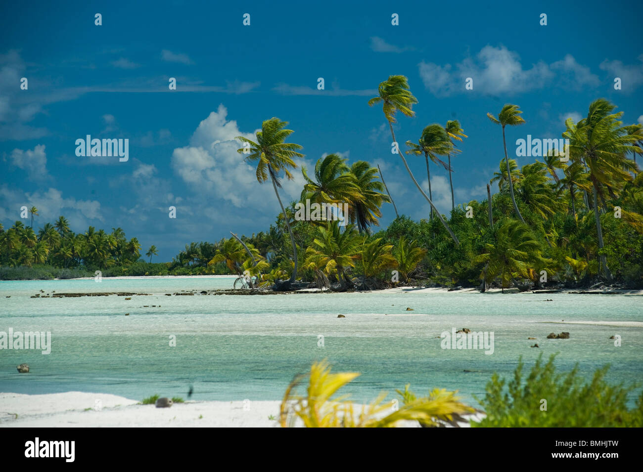 White sand beach of Fakarava - Green lagoon Stock Photo - Alamy