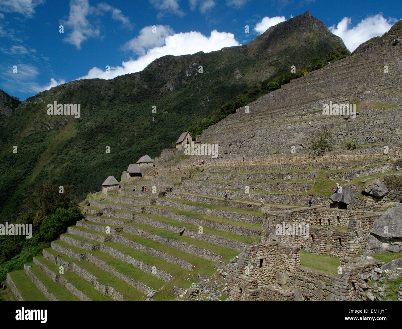 Terracing at the ancient Inca ruins at Machu Picchu near Cusco in Peru ...