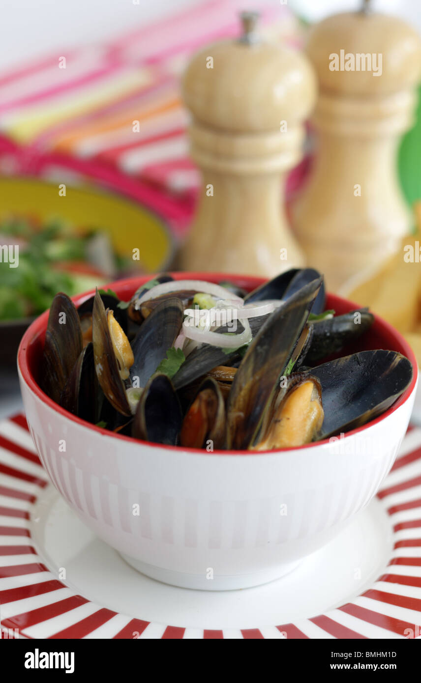 Rope grown mussels rope grown mussels hi-res stock photography and ...