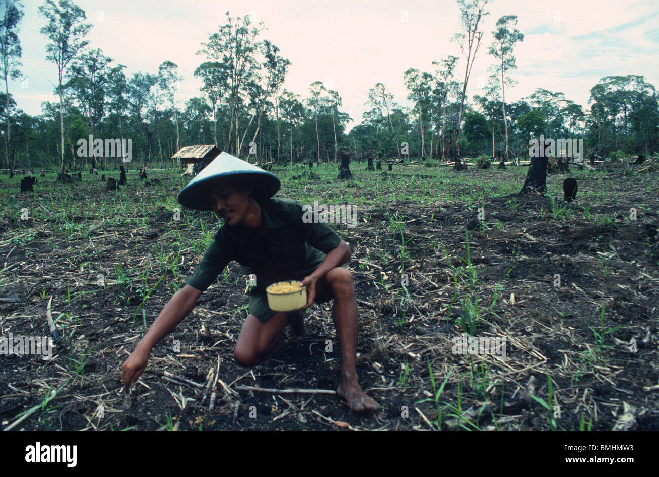 Javanese farmer hi-res stock photography and images - Alamy