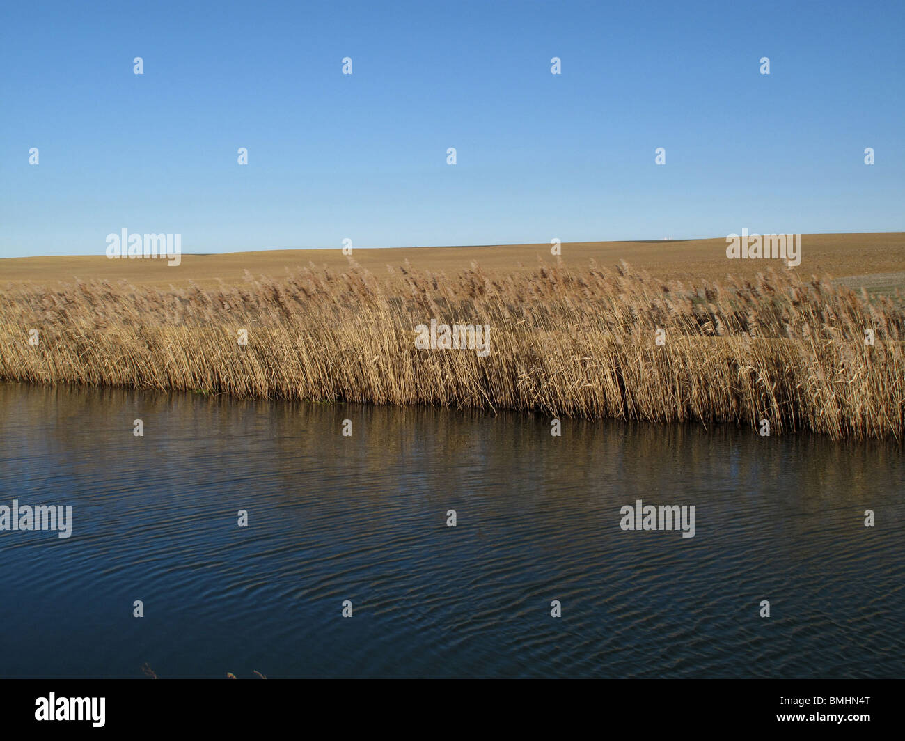 Chanel st james hi-res stock photography and images - Alamy