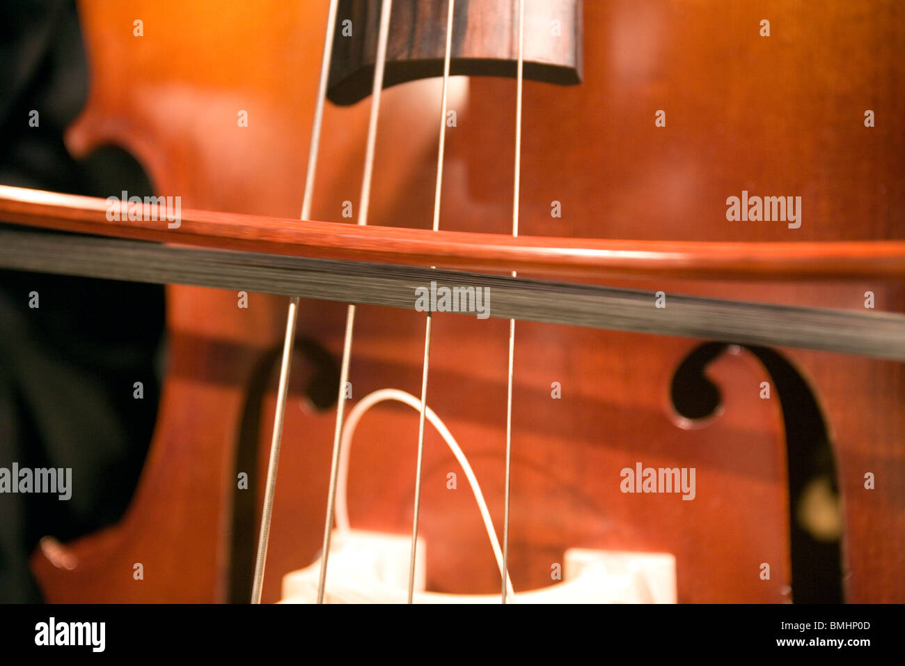 Upright double bass bassist hi-res stock photography and images - Alamy