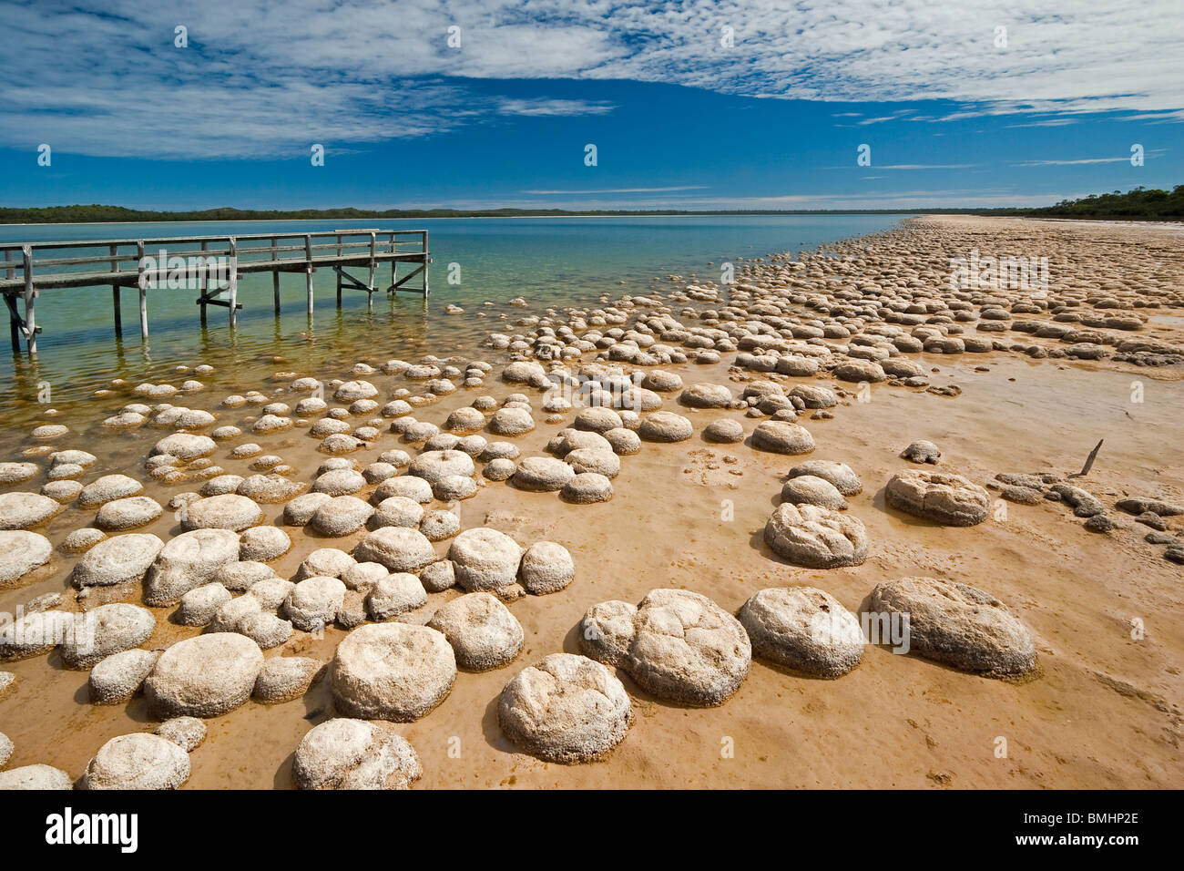 Thrombolites, a variey of microbialite or 'living rock', Lake Clifton ...