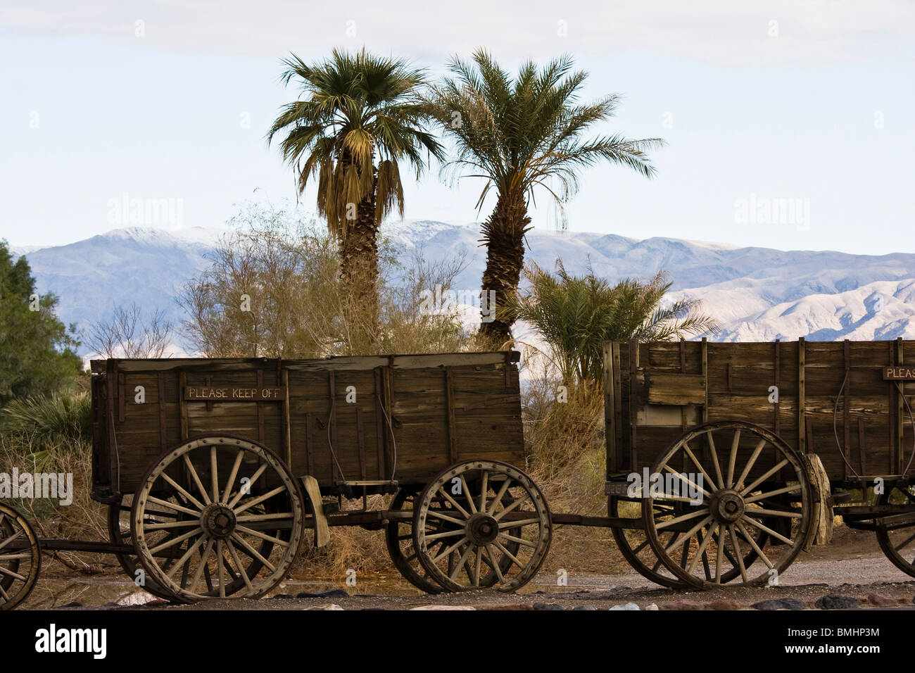 Twenty team mule wagons at Furnace Creek, Death Valley National Park ...