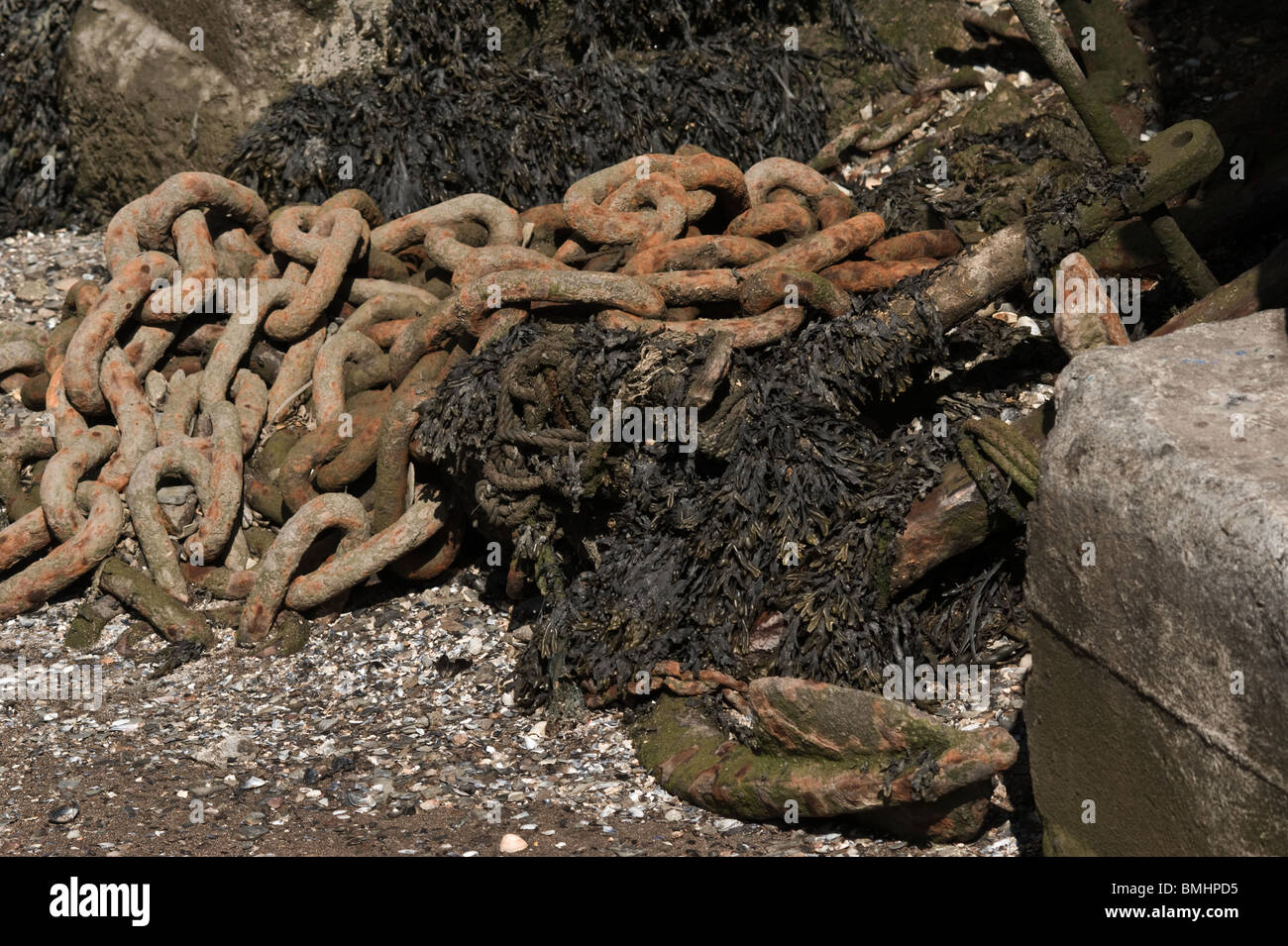Seaweed anchor hi-res stock photography and images - Alamy