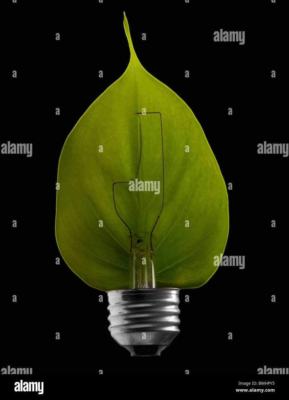 Green leaf inside a light bulb Stock Photo - Alamy