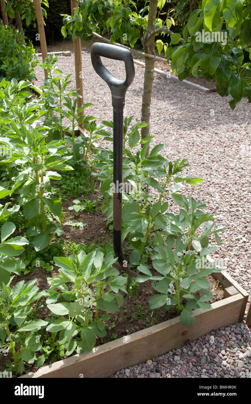 Fork images hi-res stock photography and images - Alamy