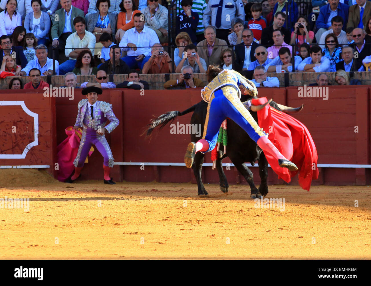 Matador on the Horns of a Dilemma Stock Photo - Alamy