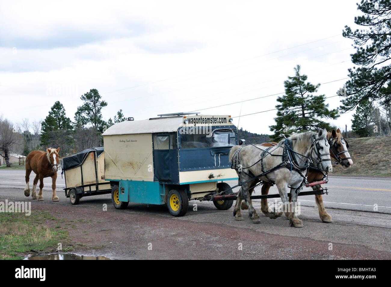 Wagonteamster - wagon and horse way of traveling, USA Stock Photo - Alamy