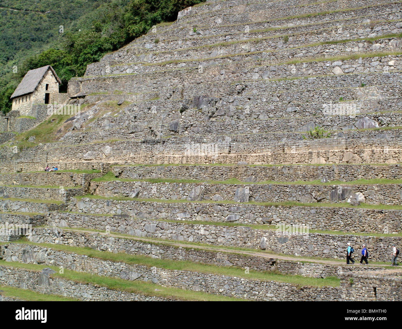 Terracing at the ancient Inca ruins at Machu Picchu near Cusco in Peru ...