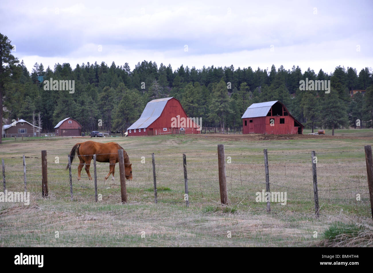 Rural country countryside hi-res stock photography and images - Alamy