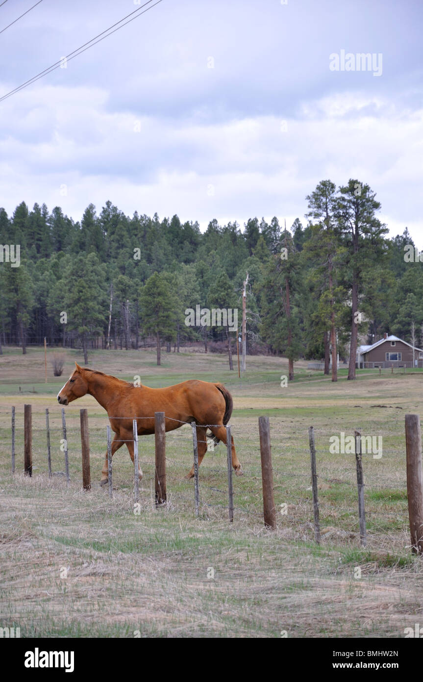 Farm in rural Colorado, USA Stock Photo - Alamy