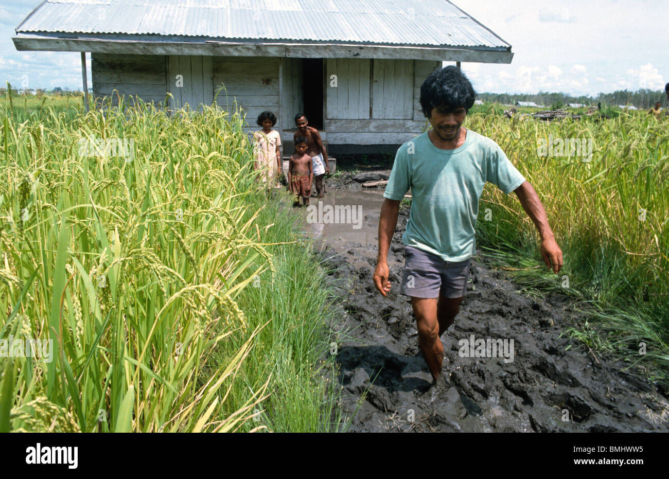 Javanese farmers hi-res stock photography and images - Alamy