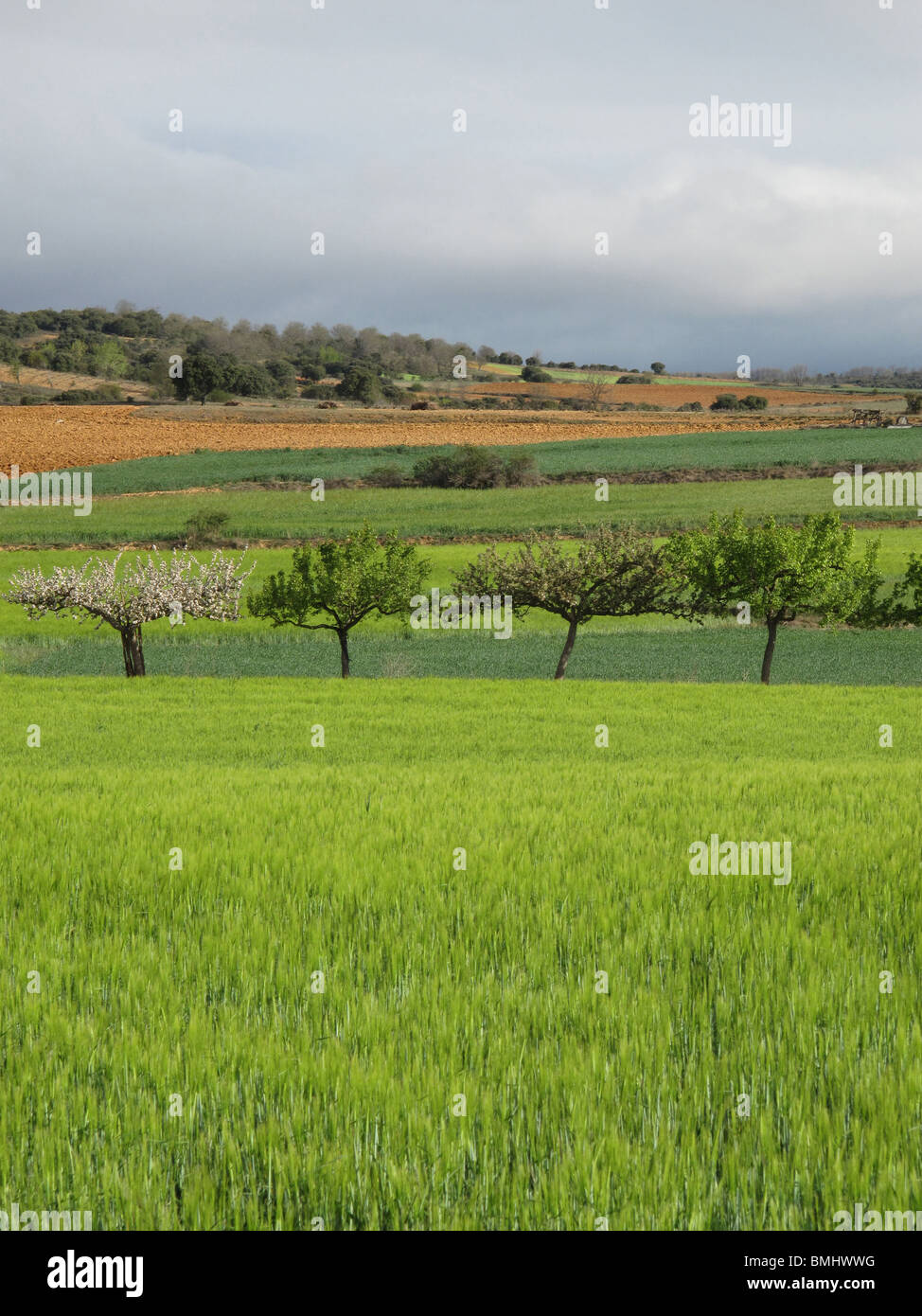 Primavera en la Provincia de Leon. España. CAMINO DE SANTIAGO. Spring ...