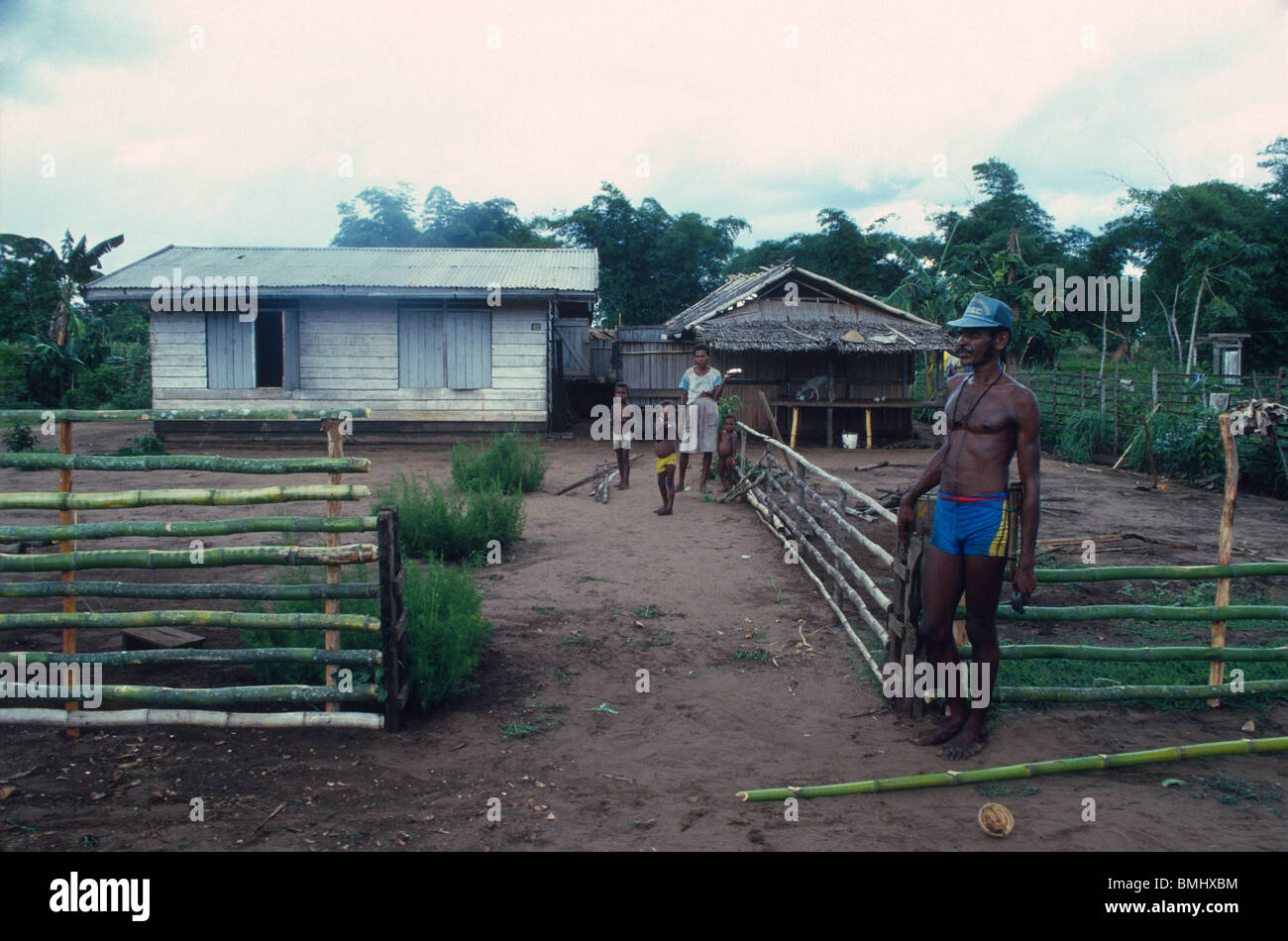 Papuan man in a resettlement camp, West Papua. Indonesia Stock Photo ...