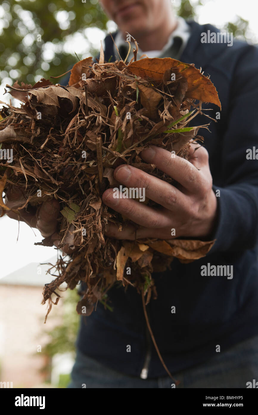 Pile of leaves hi-res stock photography and images - Alamy
