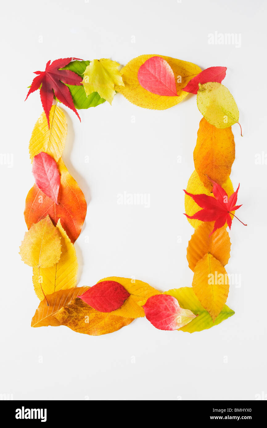 Rectangle of autumn leaves Stock Photo - Alamy