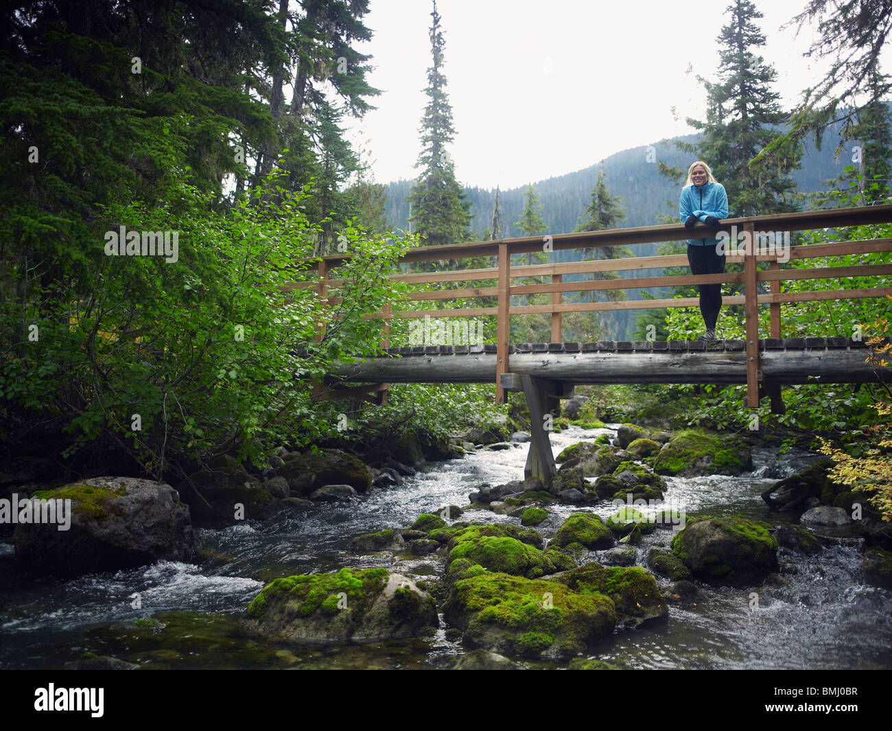 Bridge in forest Stock Photo - Alamy