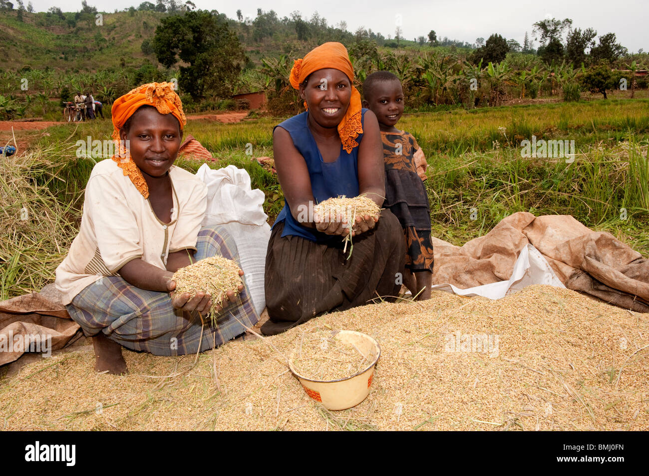 Women with threshing newly harvested rice. Rwanda Stock Photo - Alamy