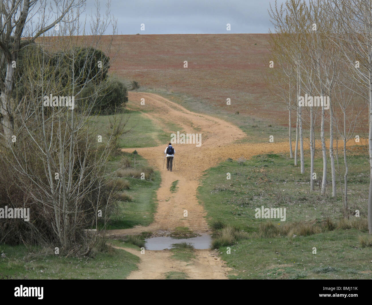 Peregrino en la Provincia de Leon. España. CAMINO DE SANTIAGO. Pilgrim ...
