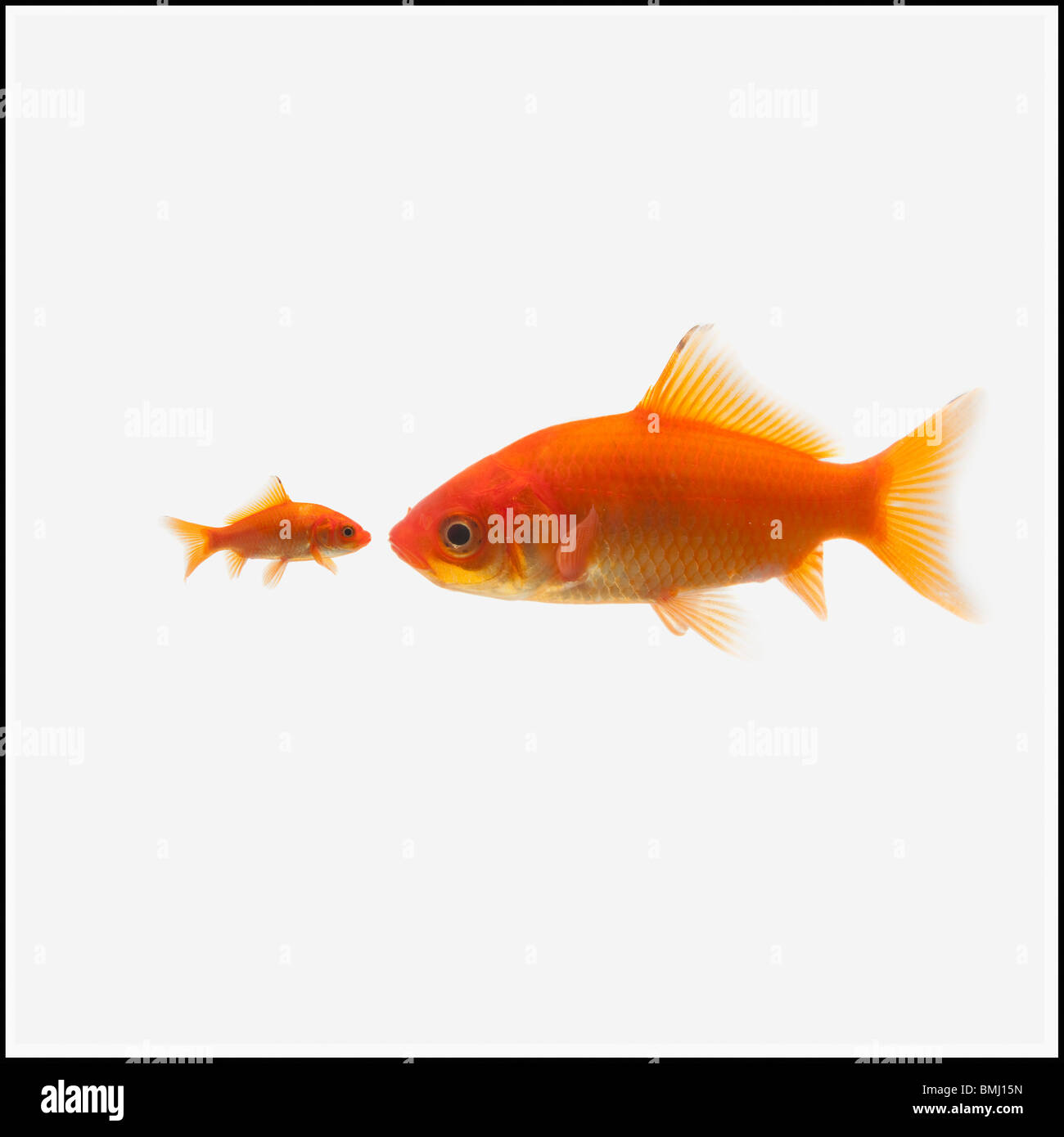 Troublemaker hi-res stock photography and images - Alamy