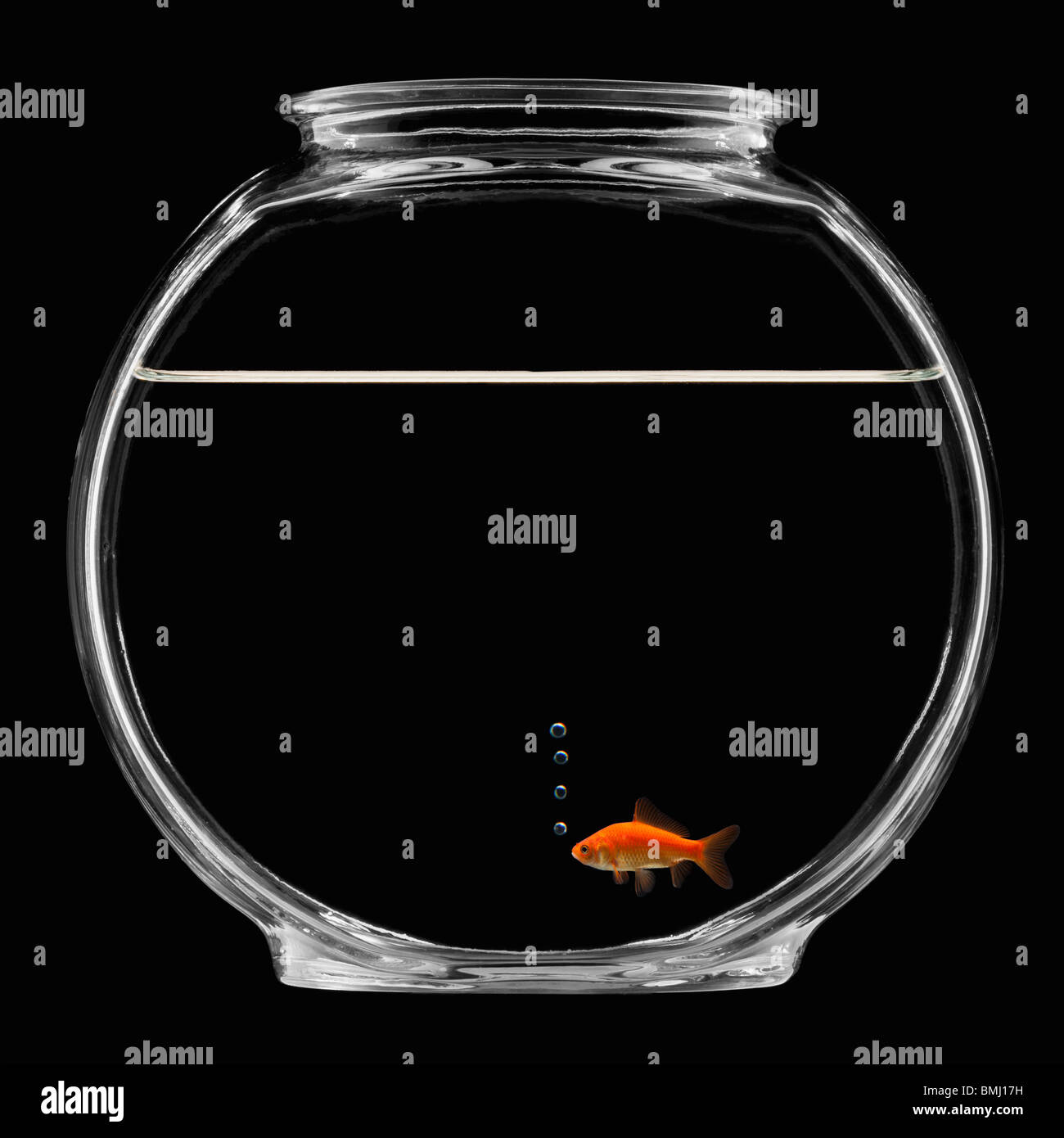 Goldfish bowl hi-res stock photography and images - Alamy