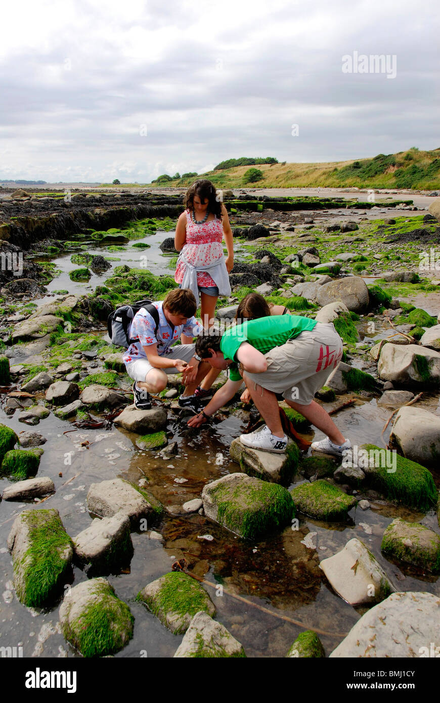 rock pools exploring alnmouth northumberland Stock Photo - Alamy