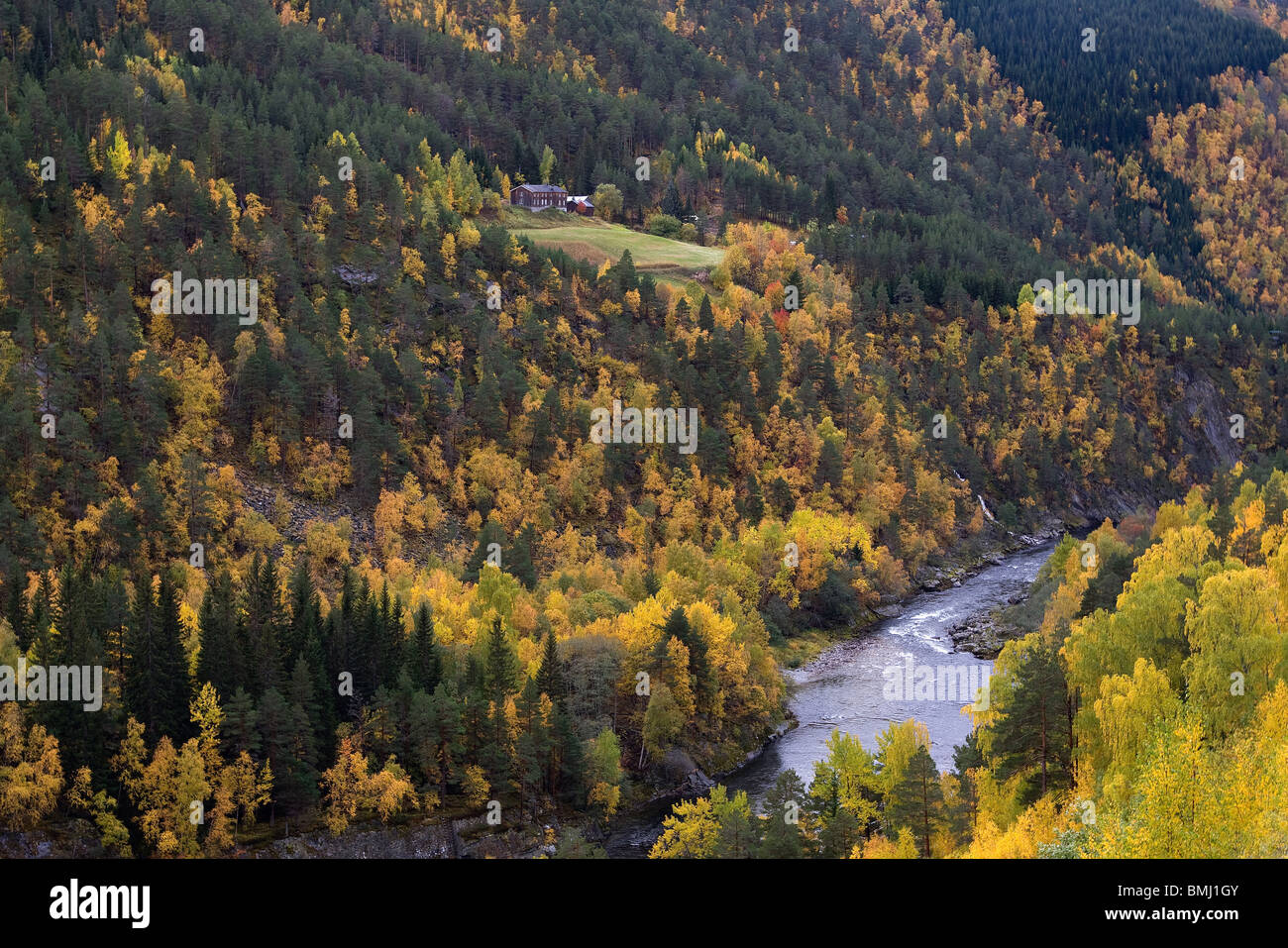 Mountain house in forest near river Norway Stock Photo - Alamy