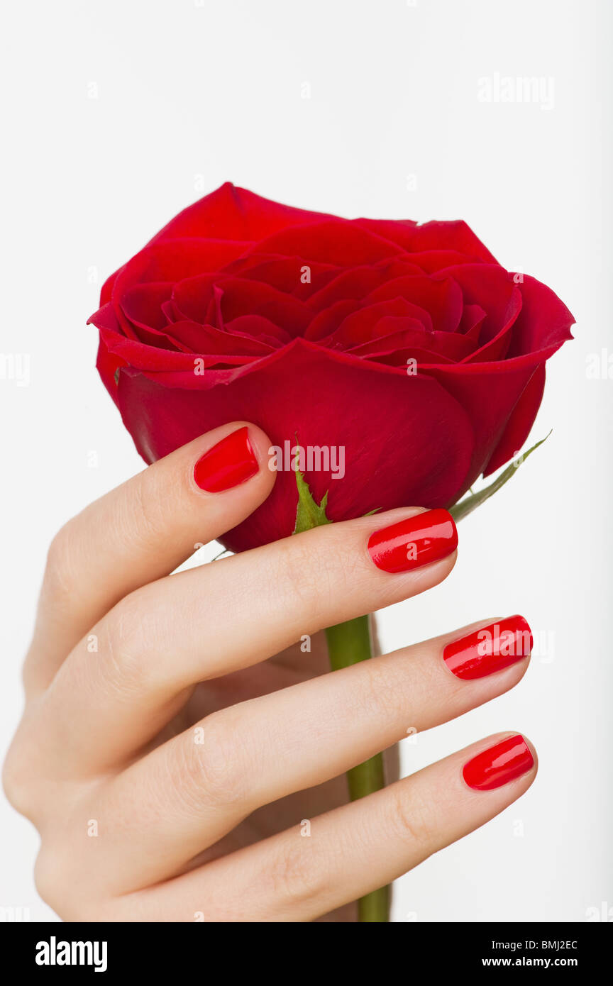 Hand holding red rose Stock Photo - Alamy