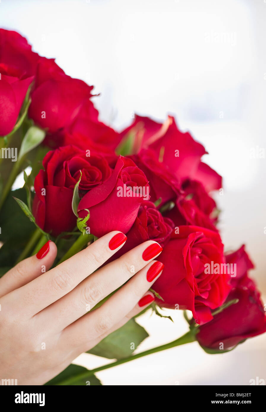 Hand holding bouquet of red roses Stock Photo - Alamy