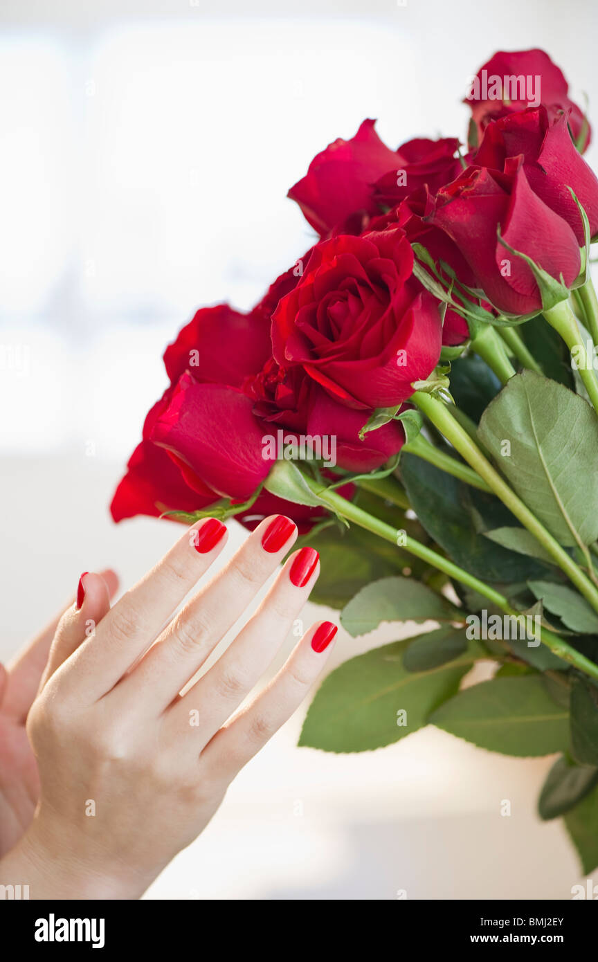 Red roses and hand with red nail polish Stock Photo - Alamy