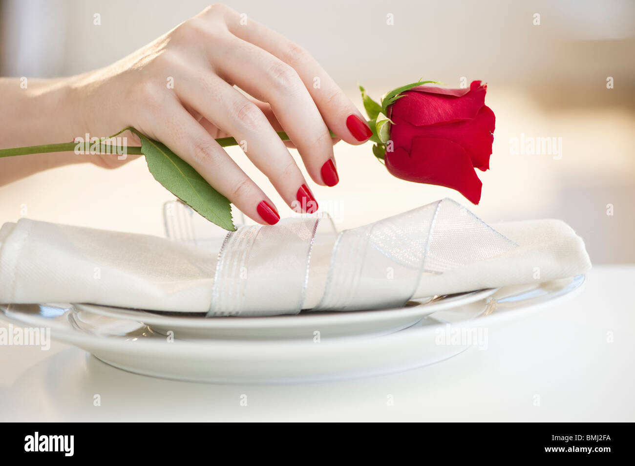 Hand and red rose hi-res stock photography and images - Alamy
