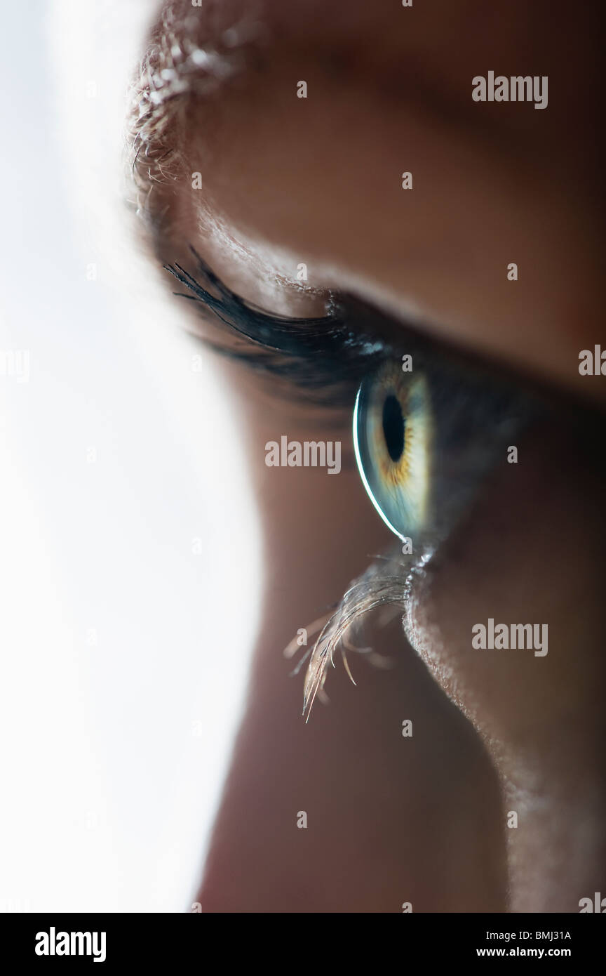 Eye with vertical pupil hi-res stock photography and images - Alamy