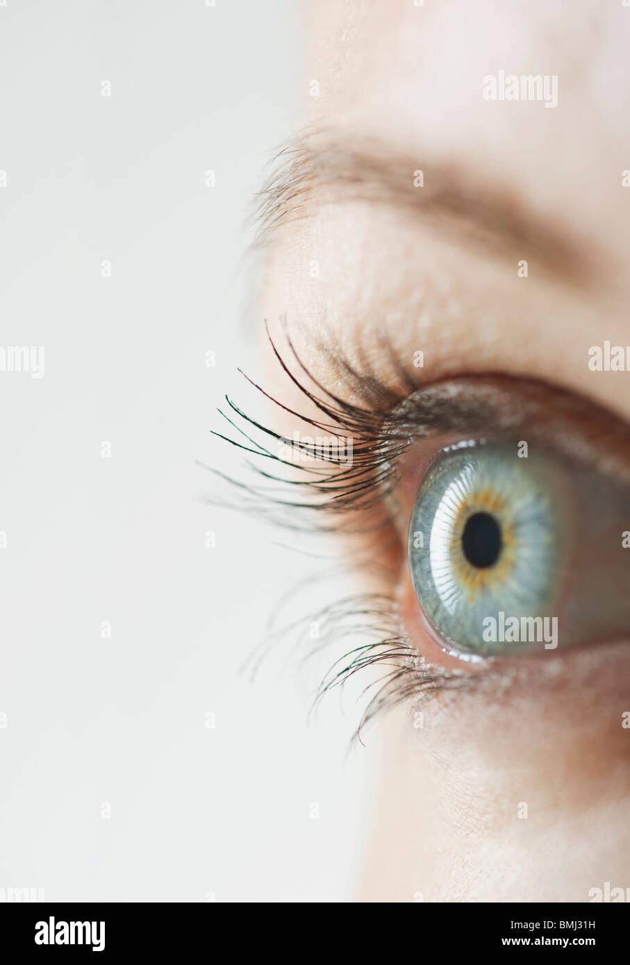 Eye with vertical pupil hi-res stock photography and images - Alamy