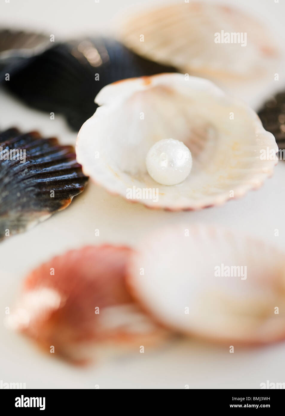 Pearl in shell Stock Photo - Alamy