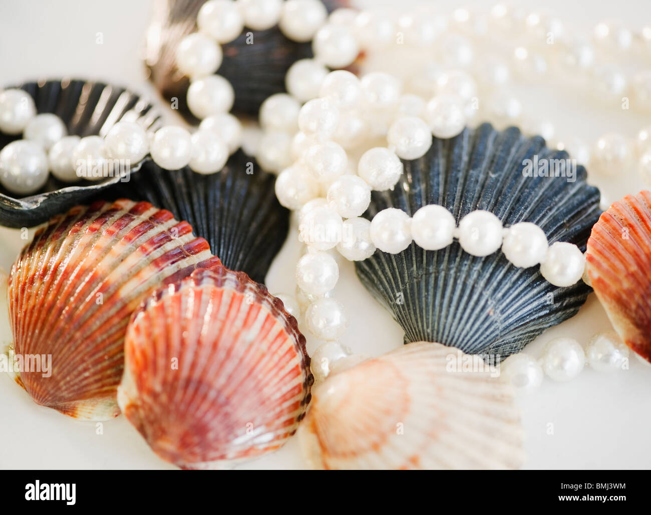 Pearls and shells Stock Photo - Alamy