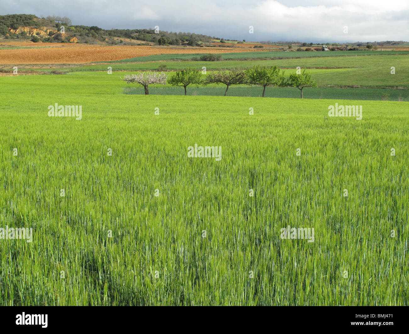 La primavera spring hi-res stock photography and images - Alamy