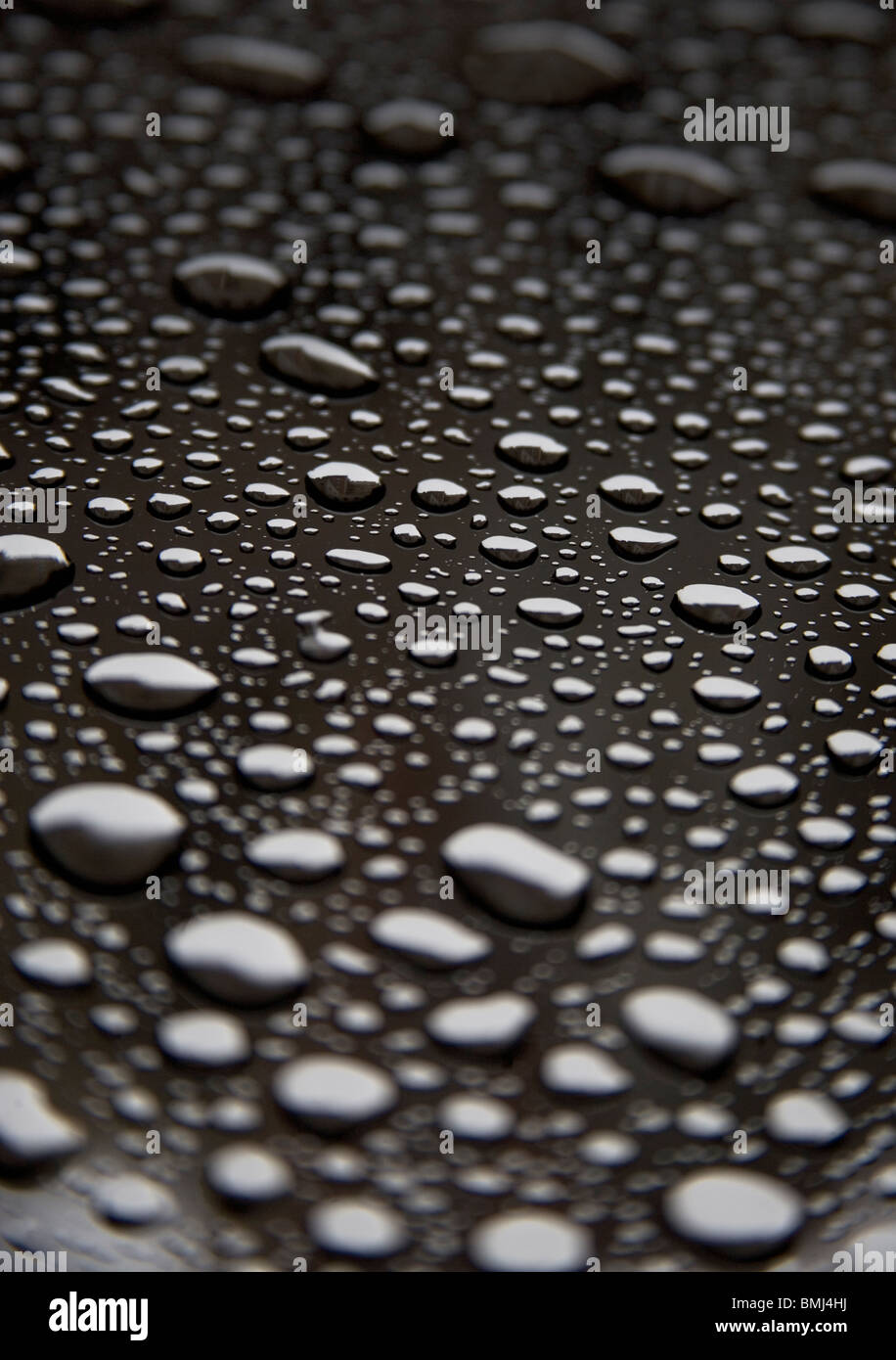 Drip dew hi-res stock photography and images - Alamy