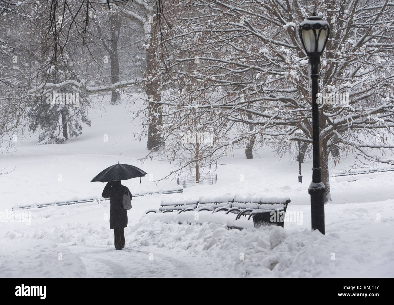 Person walking in snowy park Stock Photo - Alamy