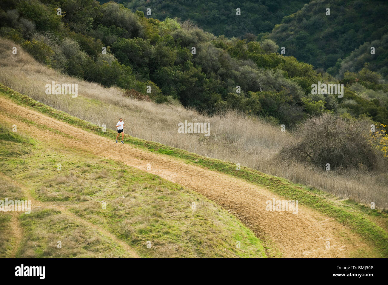 Runner trees paths grass hi-res stock photography and images - Alamy
