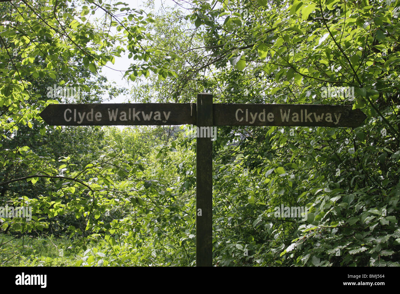 Clyde walkway hi-res stock photography and images - Alamy