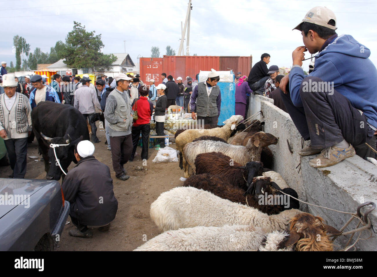 Tourism in karakol hi-res stock photography and images - Alamy